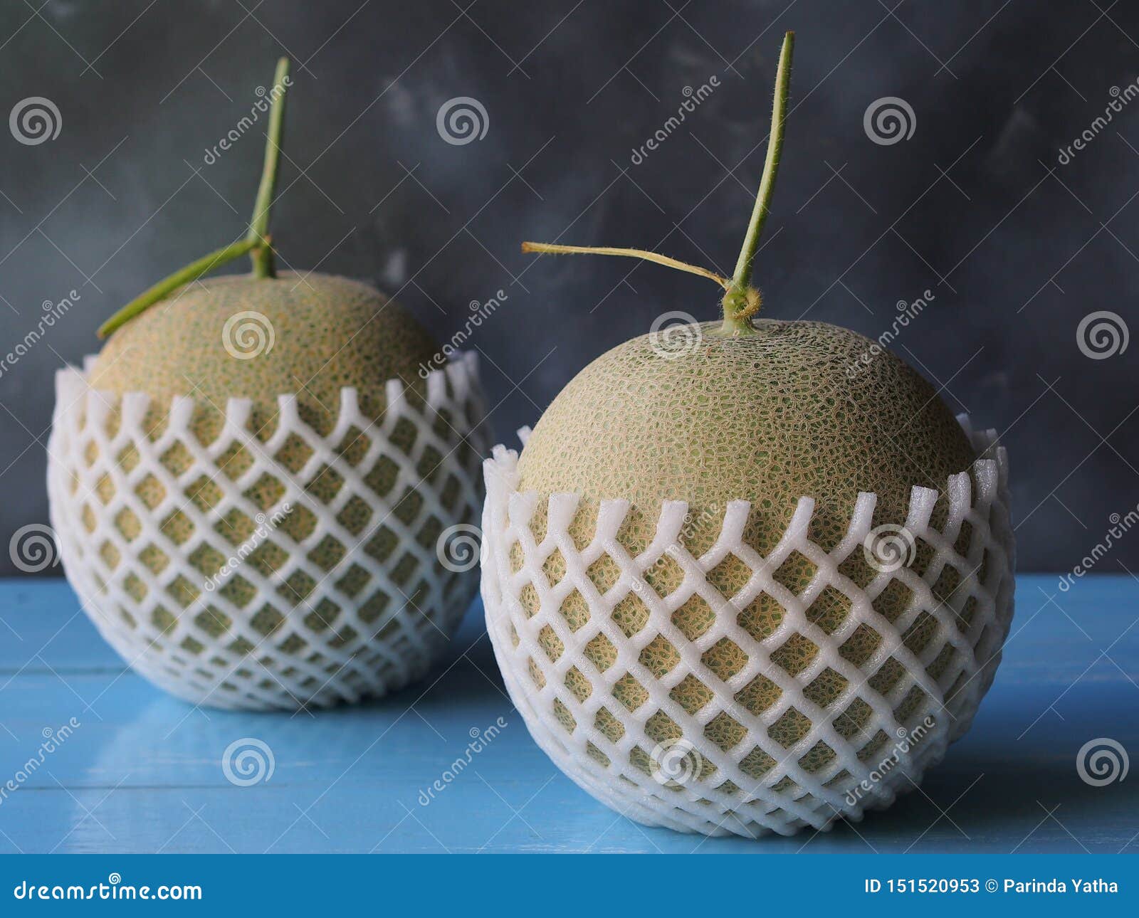 Rockmelon Fruit in Net Foam. Stock Image - Image of color, freshness ...