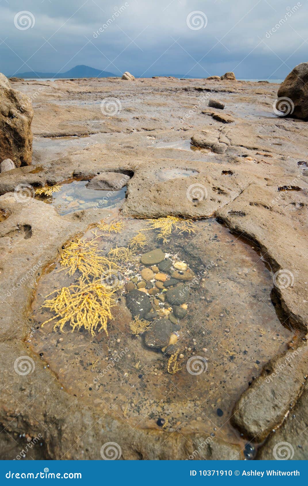 Rockpool stock photo. Image of rock, seaweed, crookhaven - 10371910