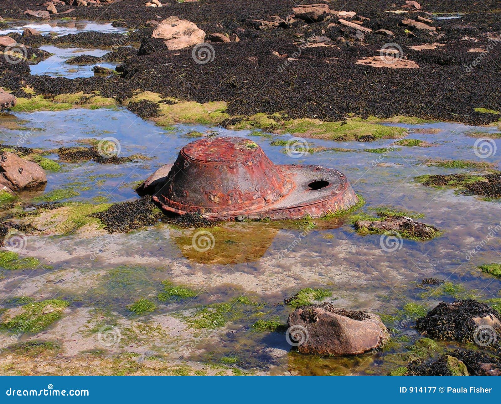 Rockpool Junk stock image. Image of water, iron, junk, pollution - 914177