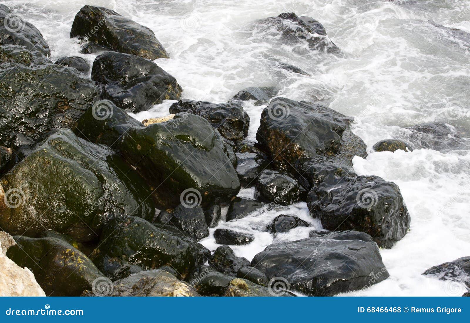 Rocks with Algae - RAW Format Stock Photo - Image of black, additional ...