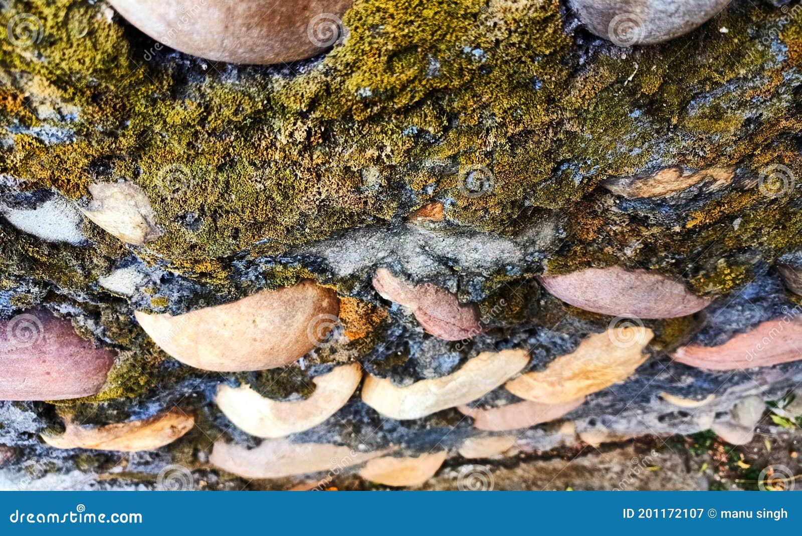 Some Rocks and Algea Beautiful Stock Image - Image of nature, rocks ...