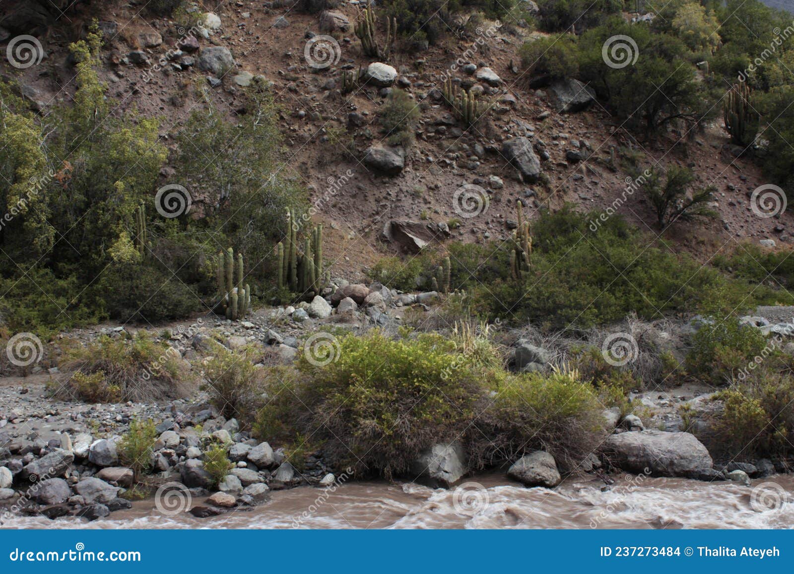 Andes stock photo. Image of destinations, landscape - 237273484