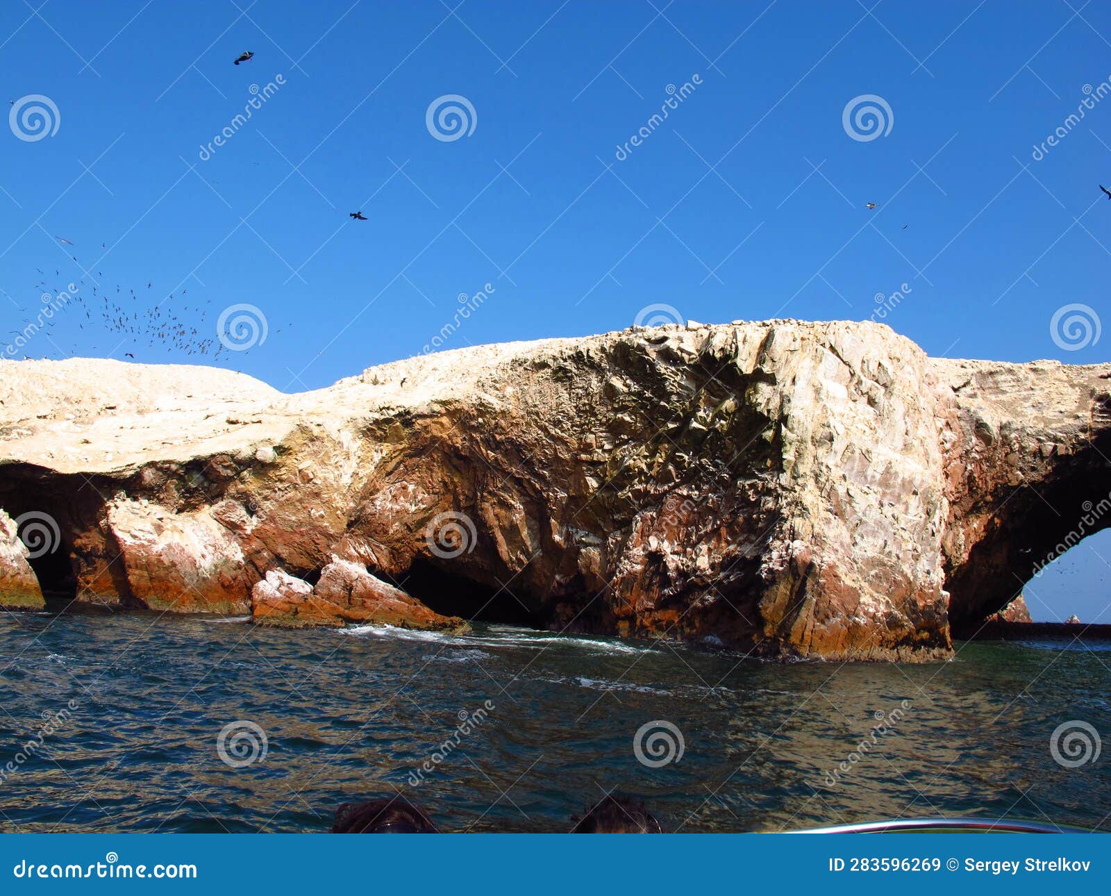 Rocks with Animals in the Pacific Ocean, Paracas, Peru Stock Image ...