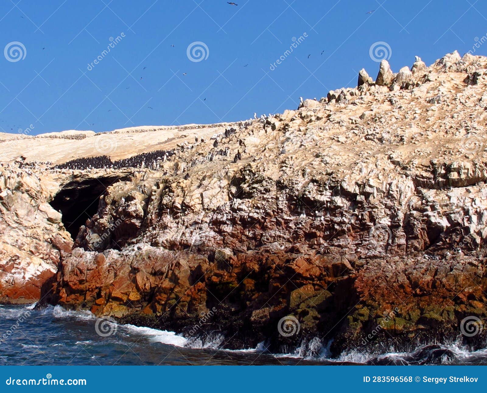 Rocks with Animals in the Pacific Ocean, Paracas, Peru Stock Photo ...