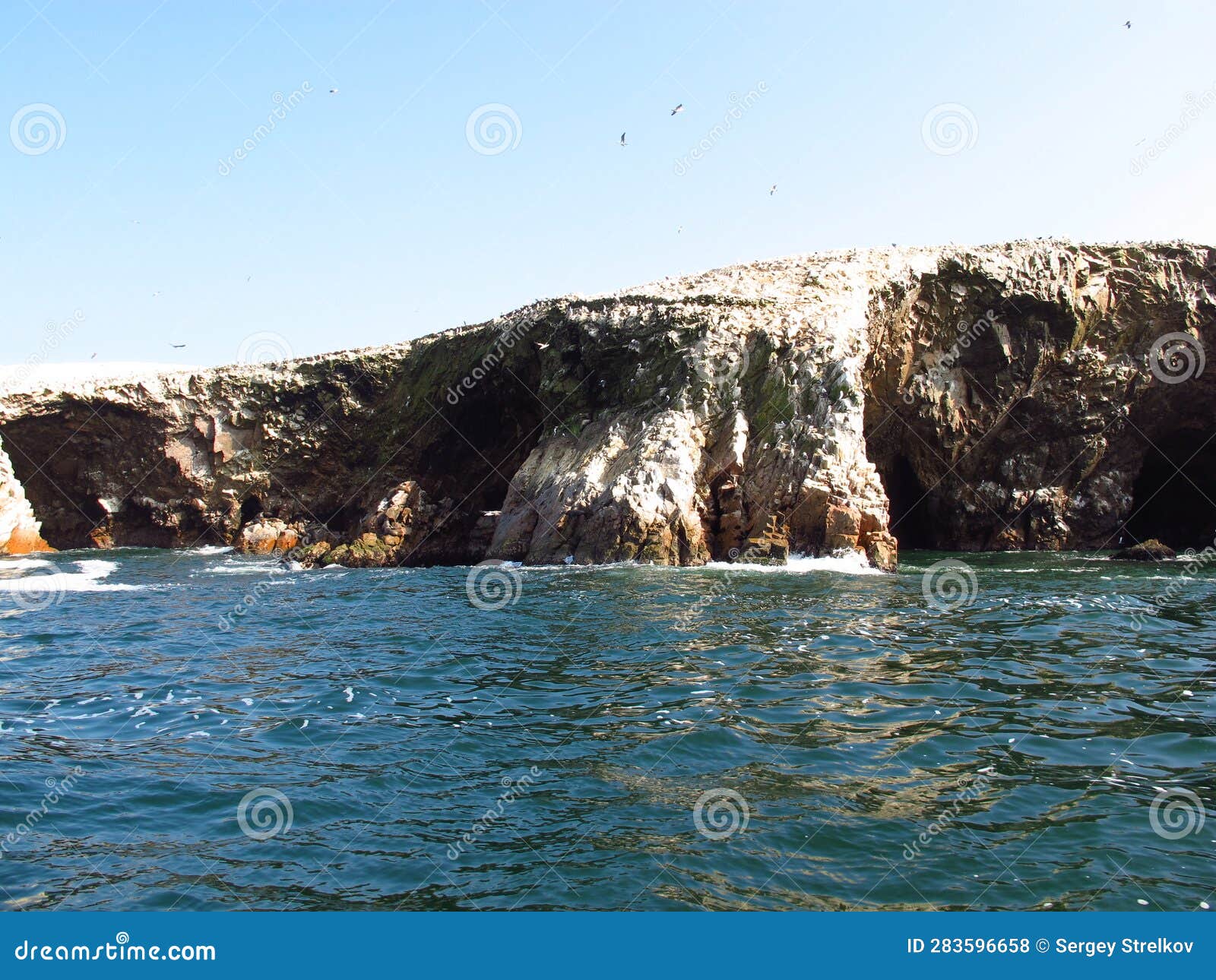 Rocks with Animals in the Pacific Ocean, Paracas, Peru Stock Photo ...