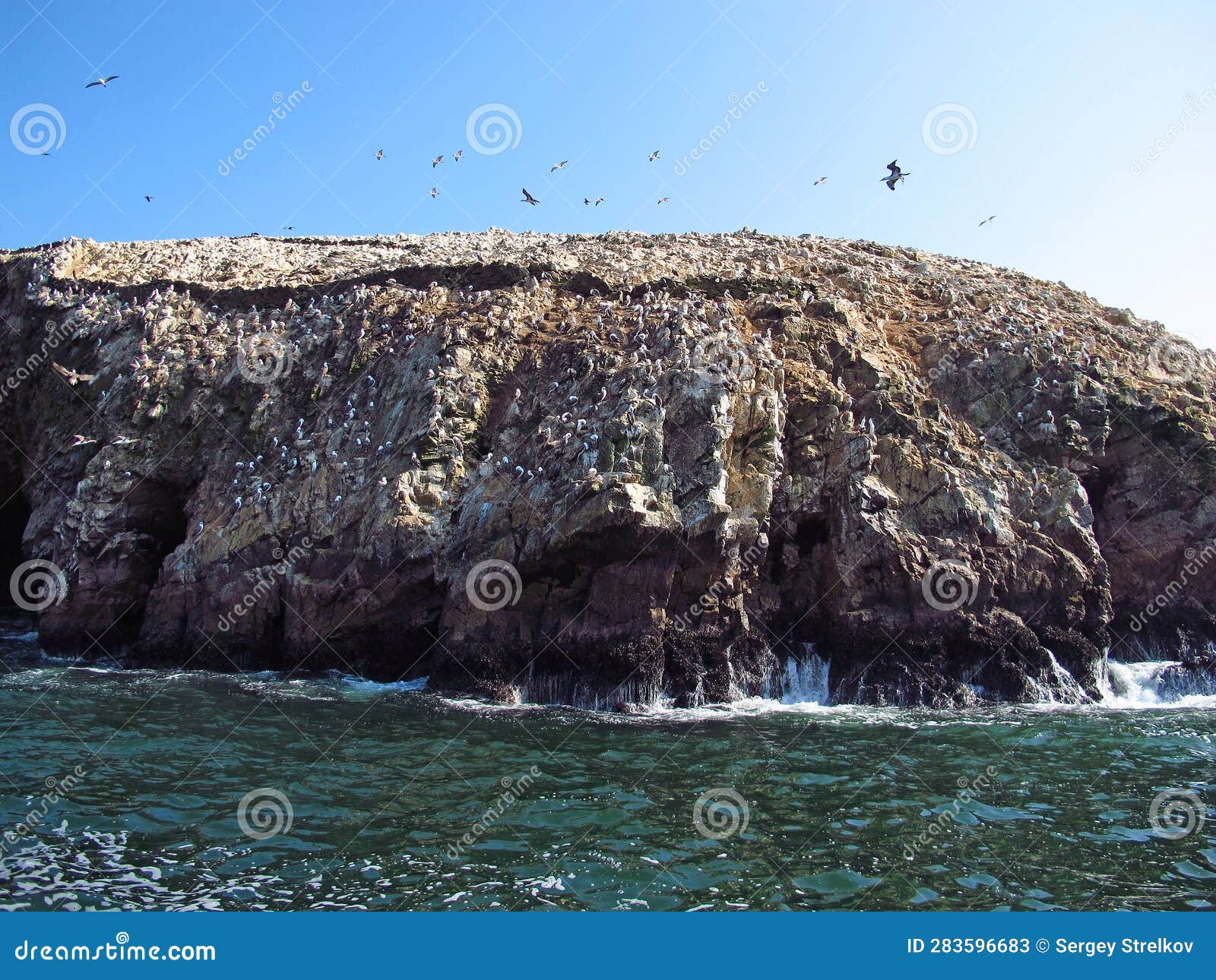 Rocks with Animals in the Pacific Ocean, Paracas, Peru Stock Image ...