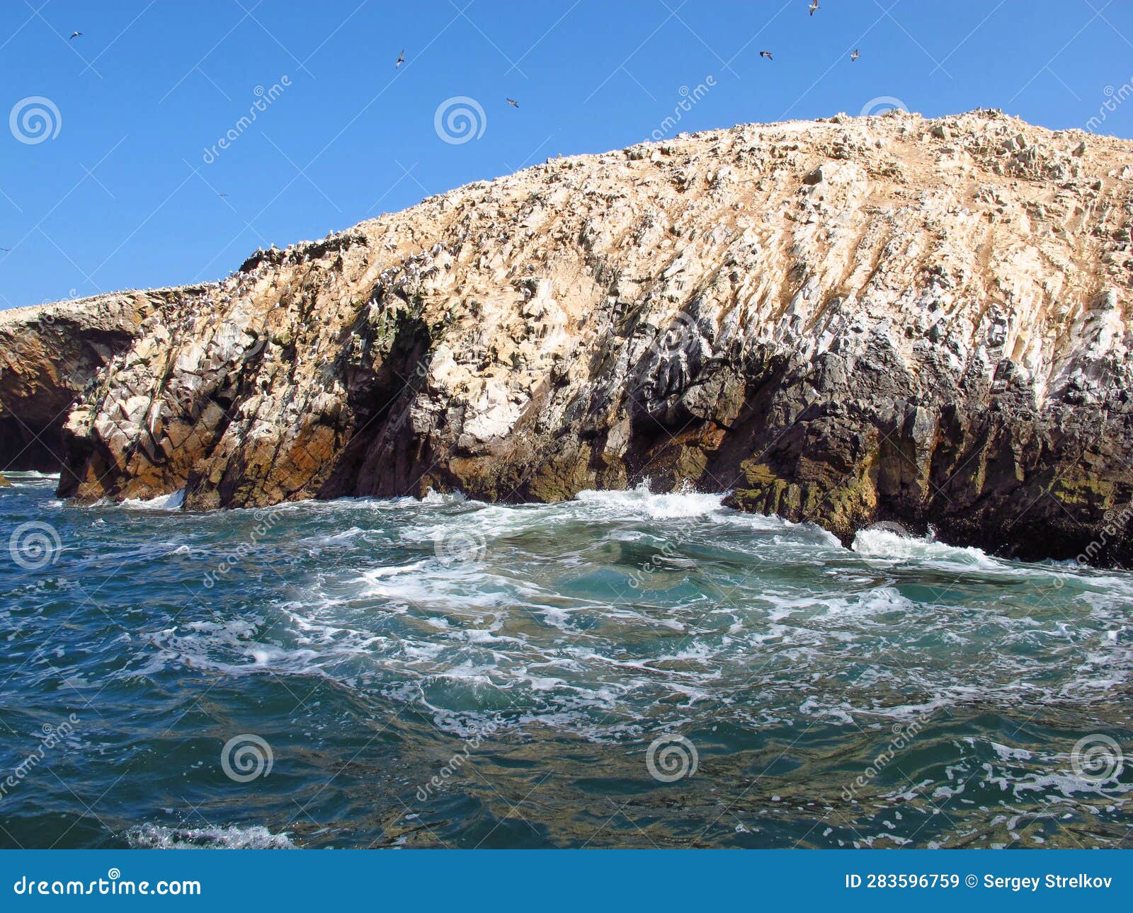 Rocks with Animals in the Pacific Ocean, Paracas, Peru Stock Image ...