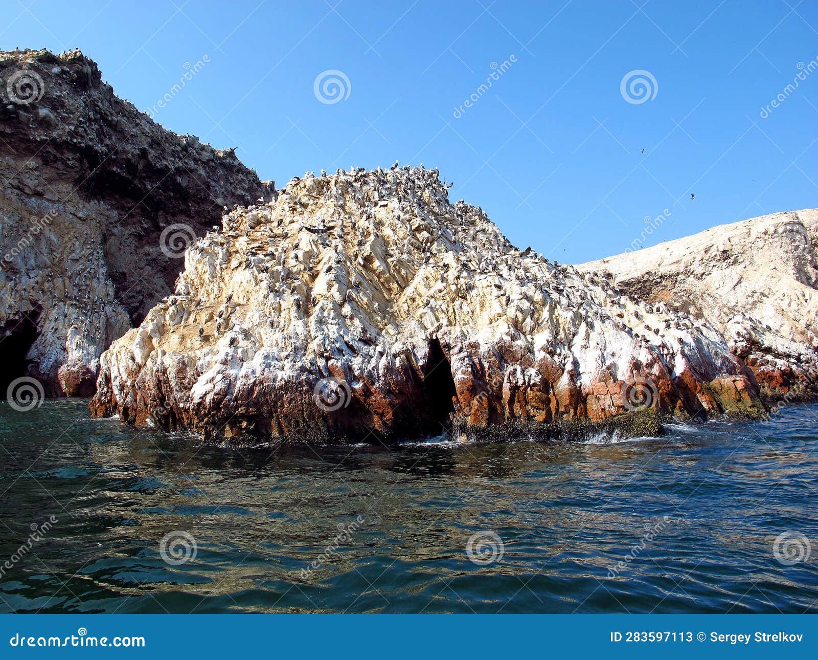 Rocks with Animals in the Pacific Ocean, Paracas, Peru Stock Image ...