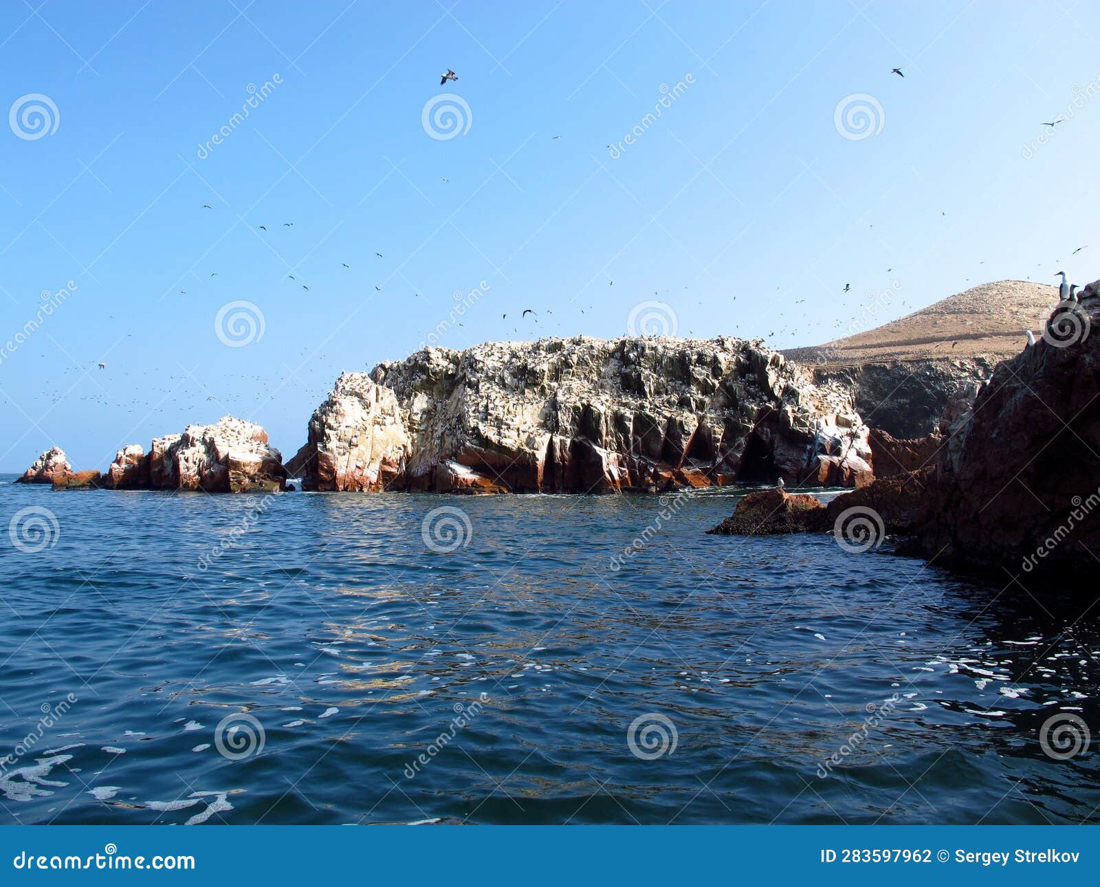 Rocks with Animals in the Pacific Ocean, Paracas, Peru Stock Photo ...