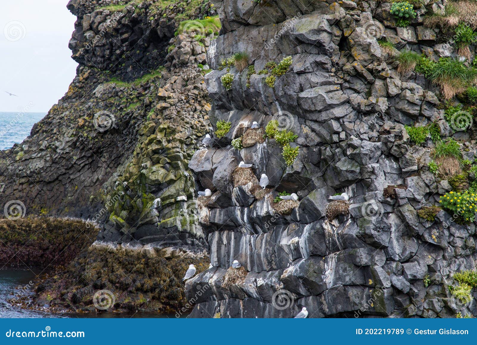 The Rocks of Arnarstapi on Snaefellsnes Peninsula in Iceland Stock ...