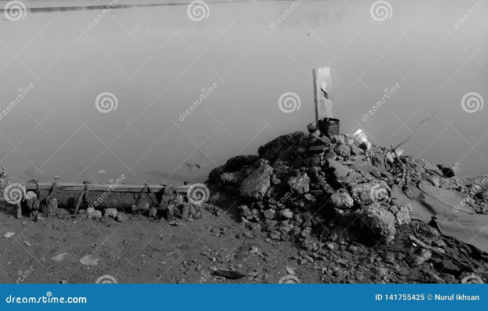 Shellfish living place stock image. Image of ocean, blackandwhite ...