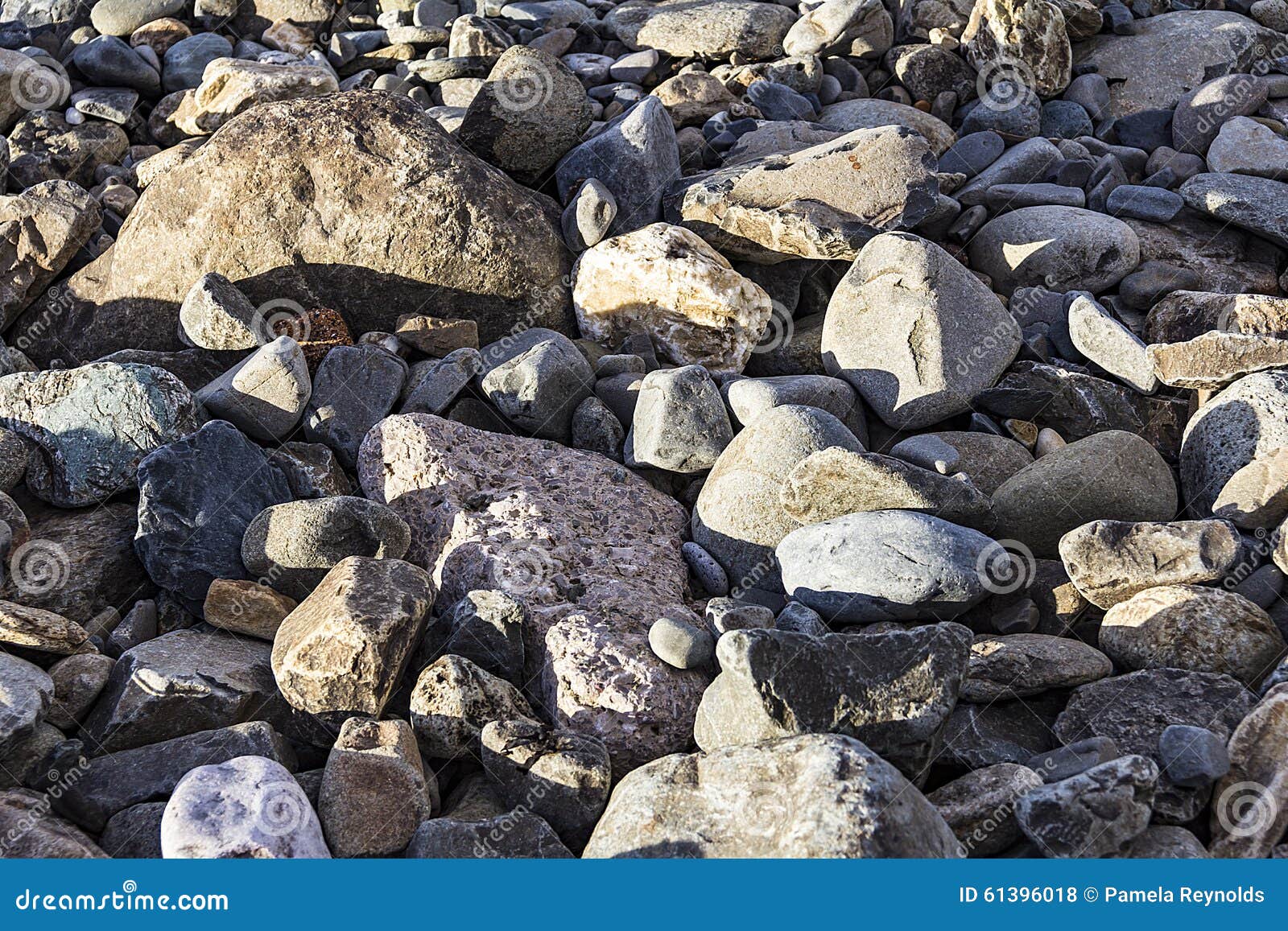 Rocks on a Beach stock photo. Image of rough, shapes - 61396018