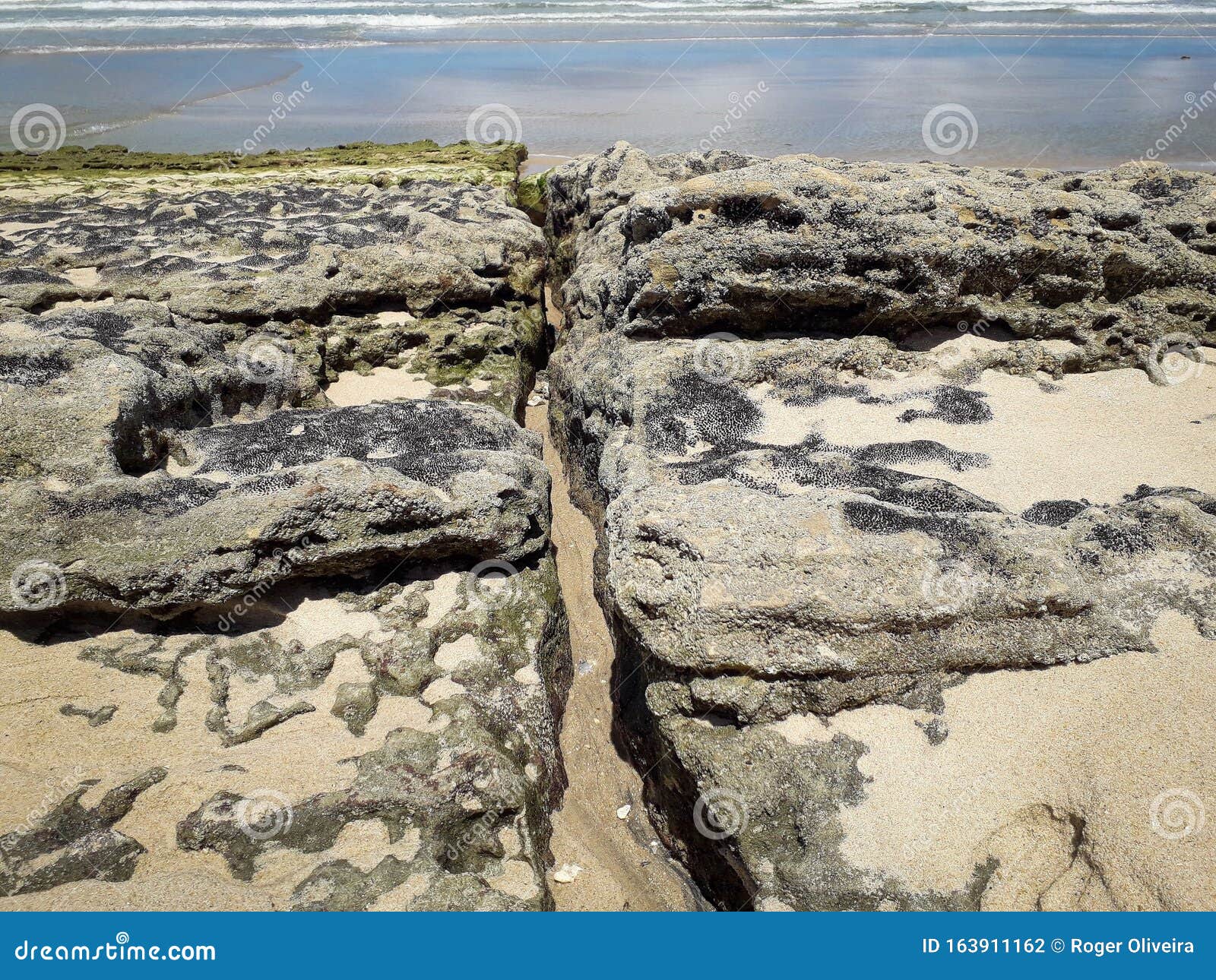 Rocks at the Beach of Pernambuco, Brazil Stock Photo - Image of ...