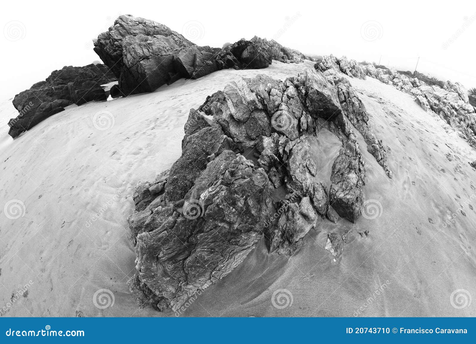 Rocks in beach sand stock photo. Image of fish, life - 20743710