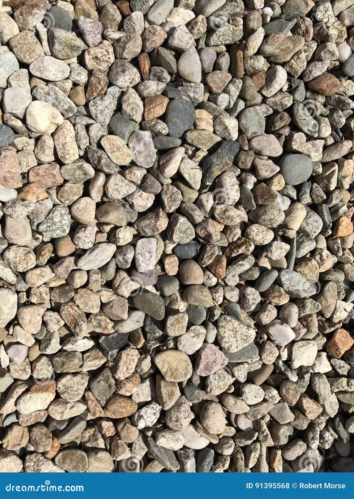 Rocks stock photo. Image of beach, rocks, texture, stones - 91395568