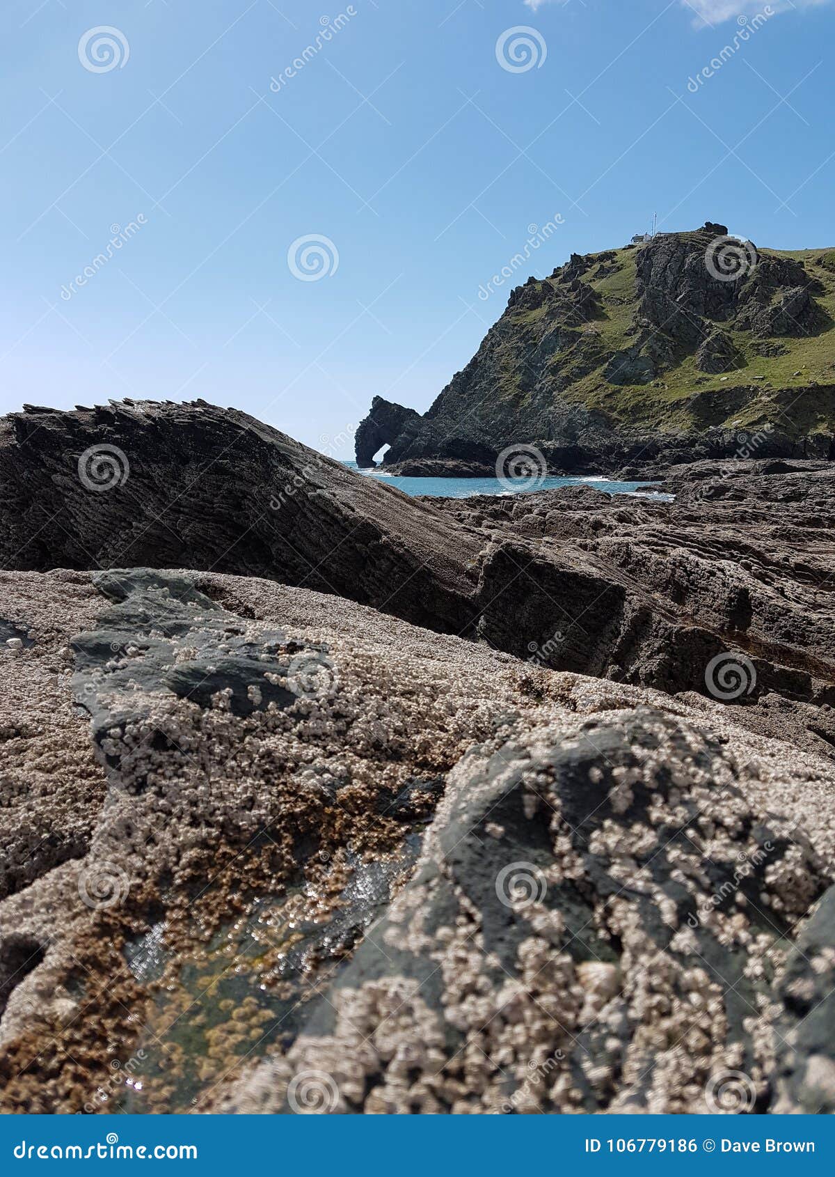 Devon sea stock photo. Image of mountain, rock, escarpment - 106779186