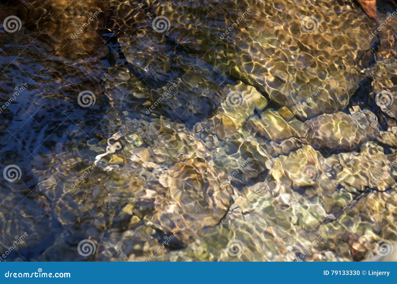 Rocks at the Bottom of a Clear Mountain Stream Stock Photo - Image of ...