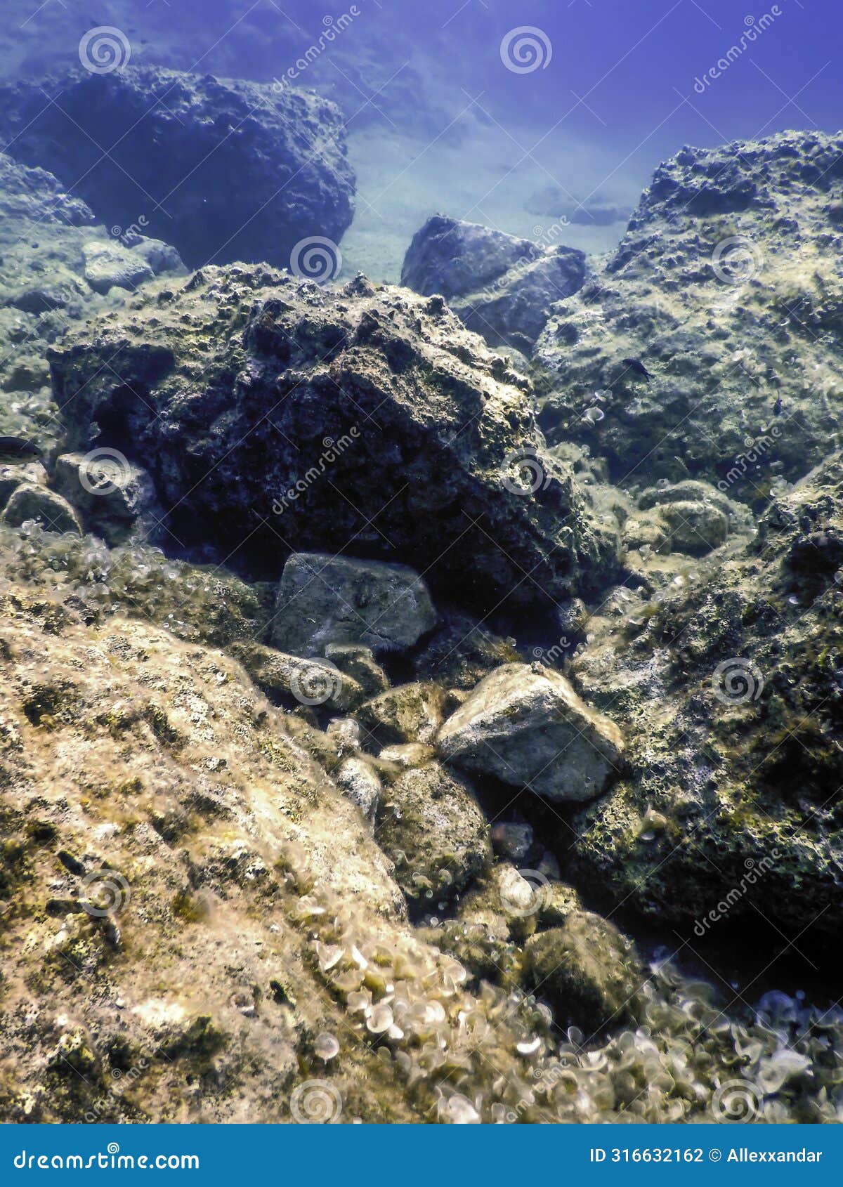 Rocks at Bottom of Ocean Floor Stock Photo - Image of undersea, aquatic ...