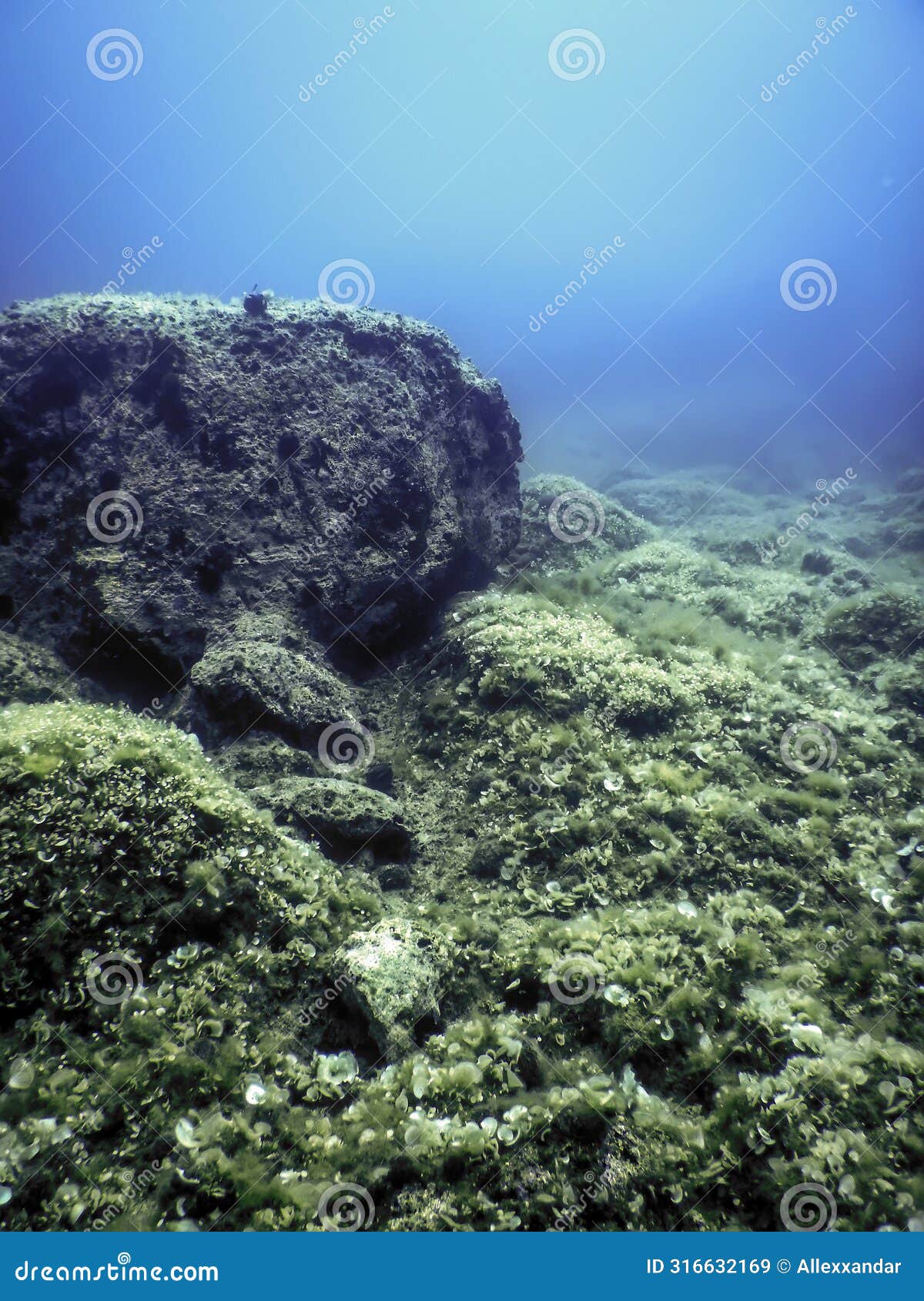 Rocks at Bottom of Ocean Floor Stock Image - Image of underwater ...