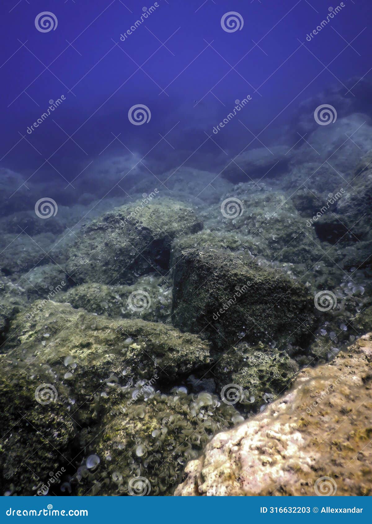 Rocks at Bottom of Ocean Floor Stock Image - Image of ecology, serene ...