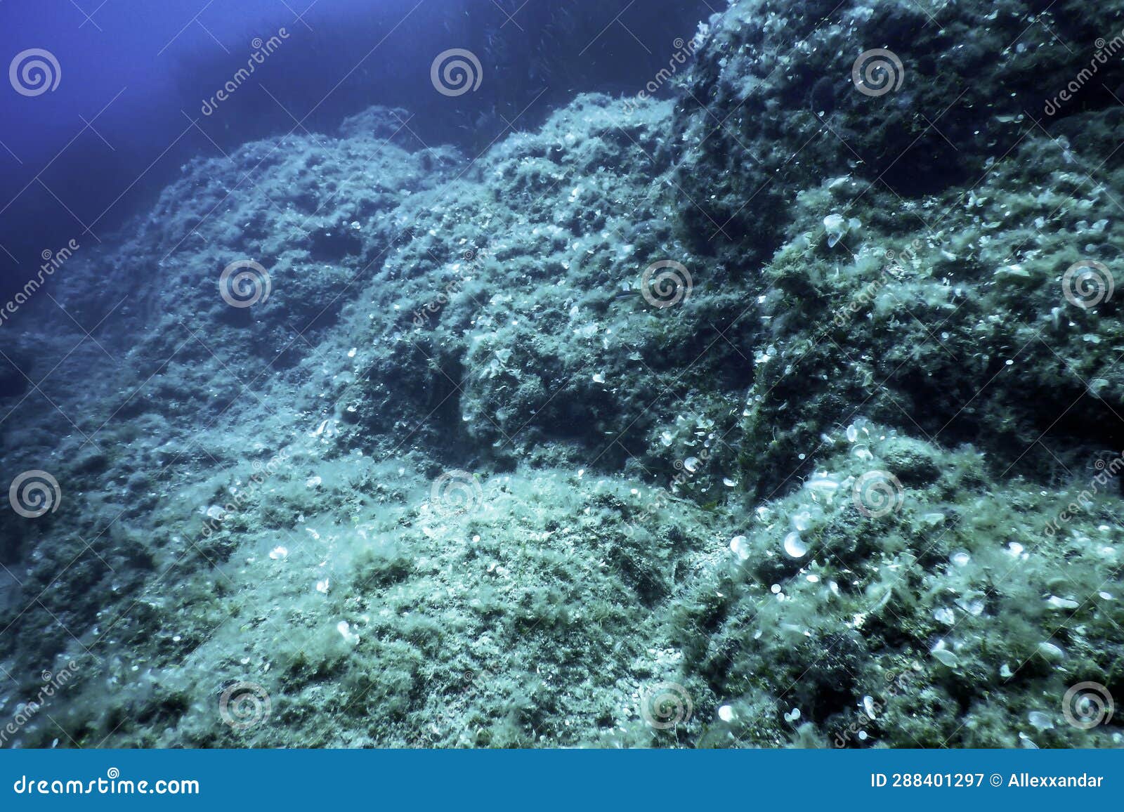 Rocks at Bottom of Ocean Floor Stock Image - Image of aquatic, nature ...