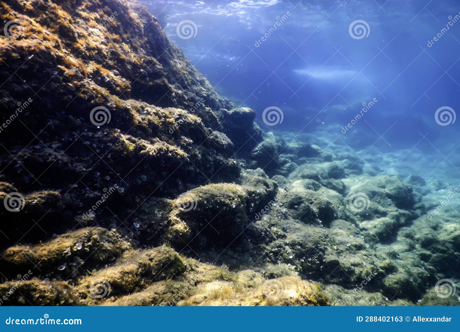 Rocks at Bottom of Ocean Floor Stock Image - Image of beauty, dive ...