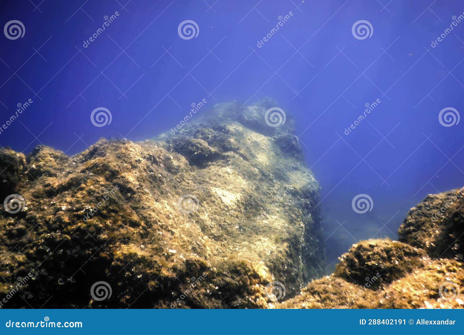 Rocks at Bottom of Ocean Floor Stock Image - Image of scuba, adventure ...