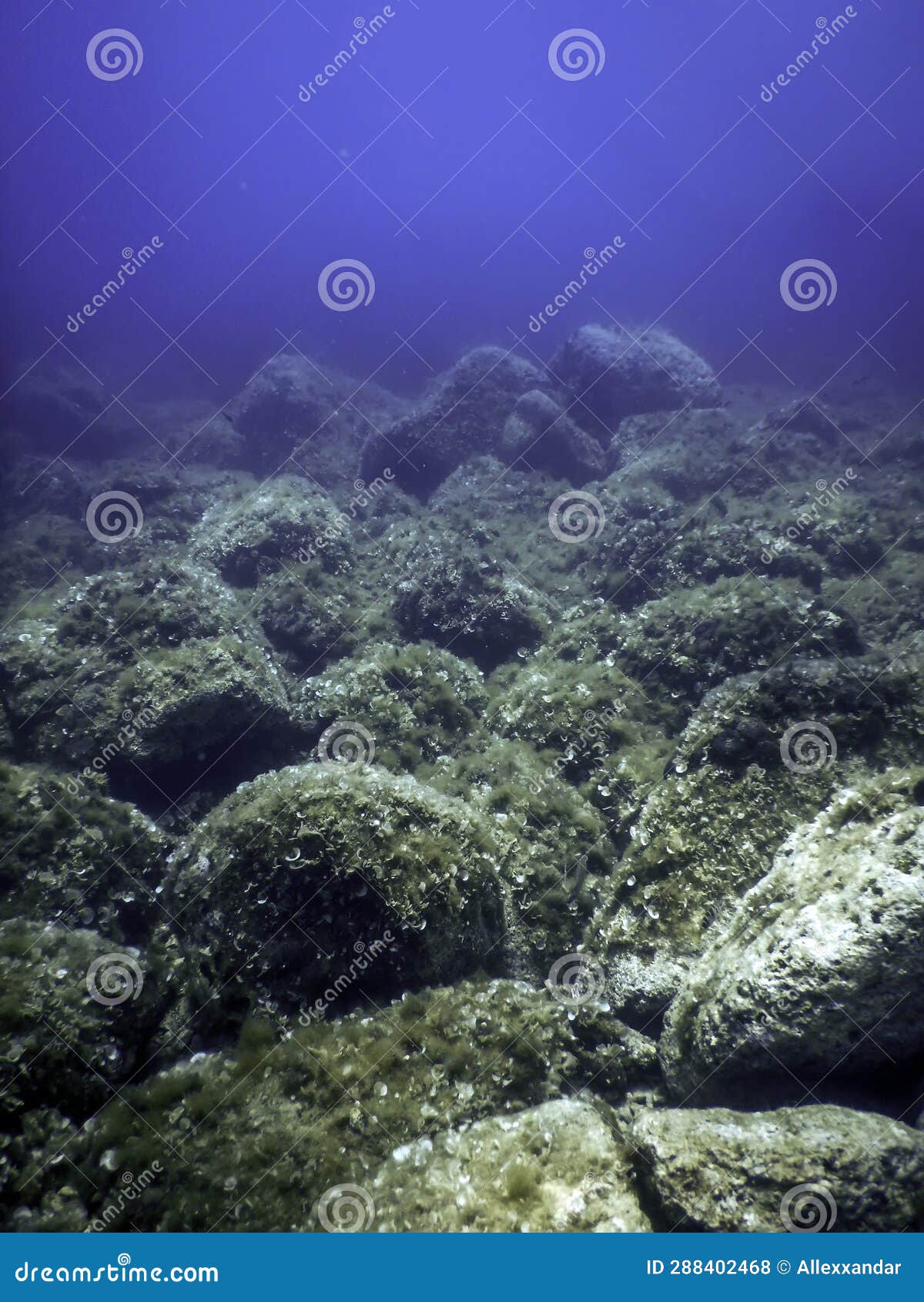 Rocks at Bottom of Ocean Floor Stock Photo - Image of undercurrents ...
