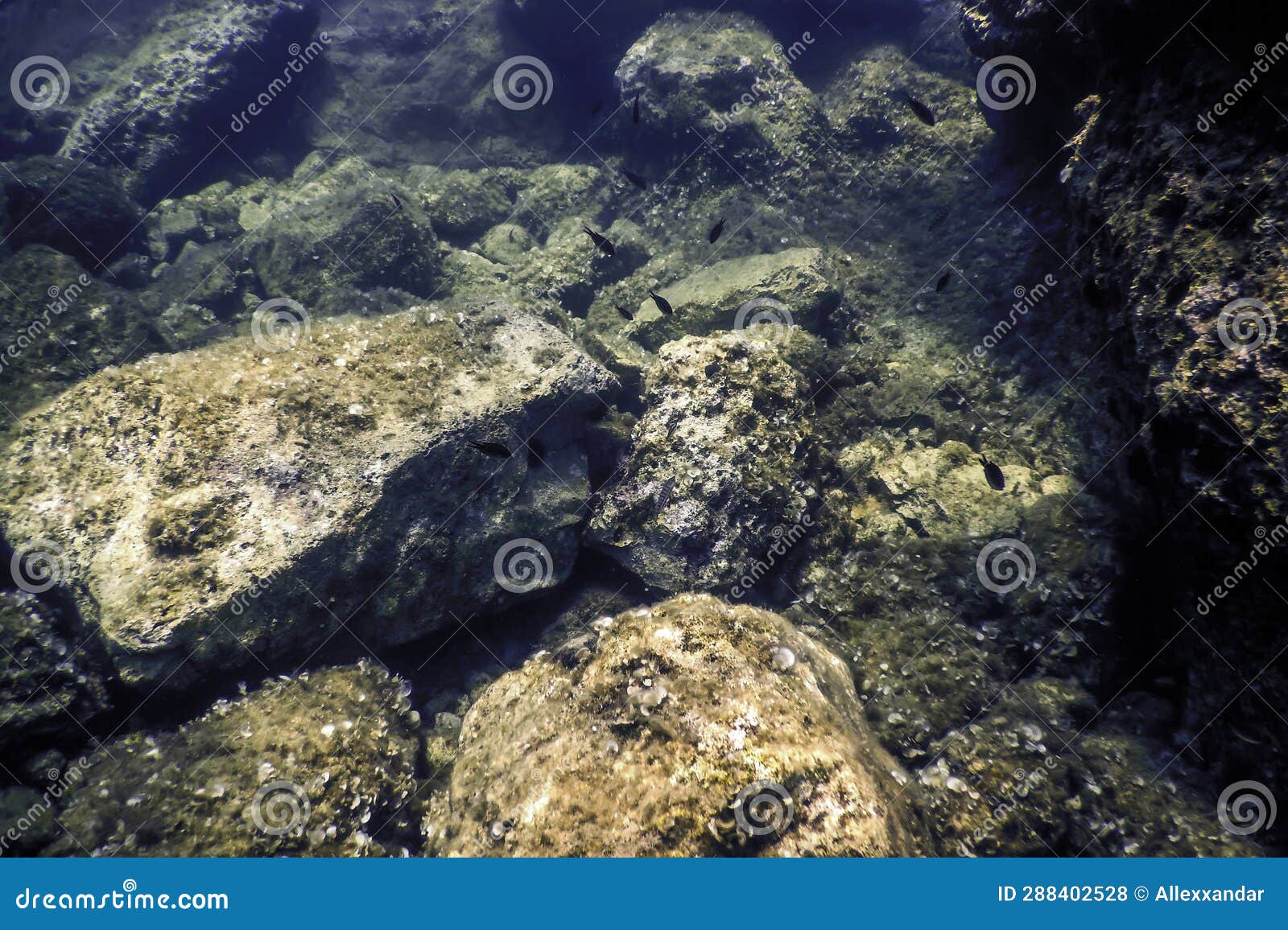 Rocks at Bottom of Ocean Floor Stock Photo - Image of landscape ...