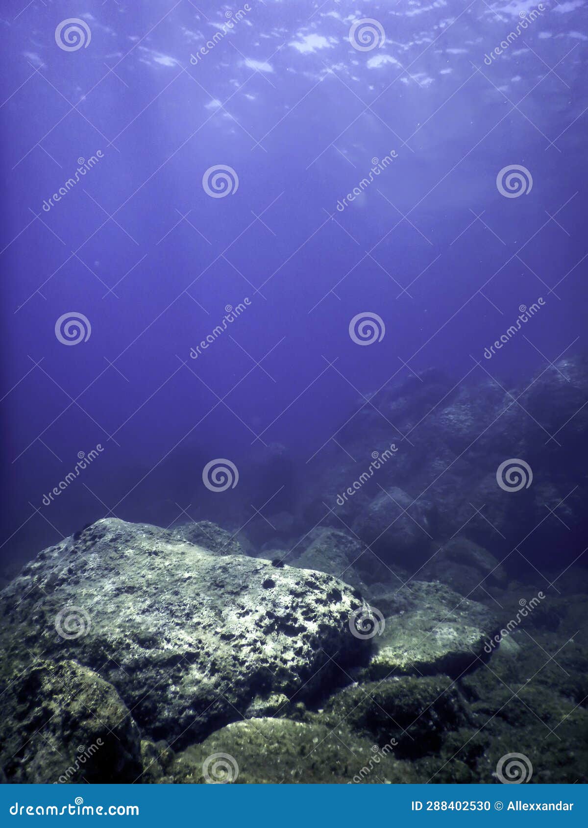 Rocks at Bottom of Ocean Floor Stock Photo - Image of beauty, seafloor ...