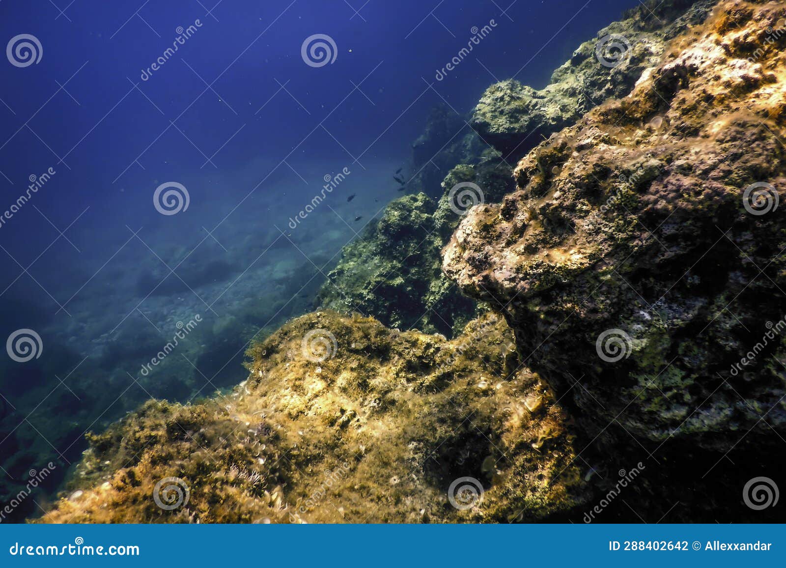 Rocks at Bottom of Ocean Floor Stock Photo - Image of underwater, rocks ...