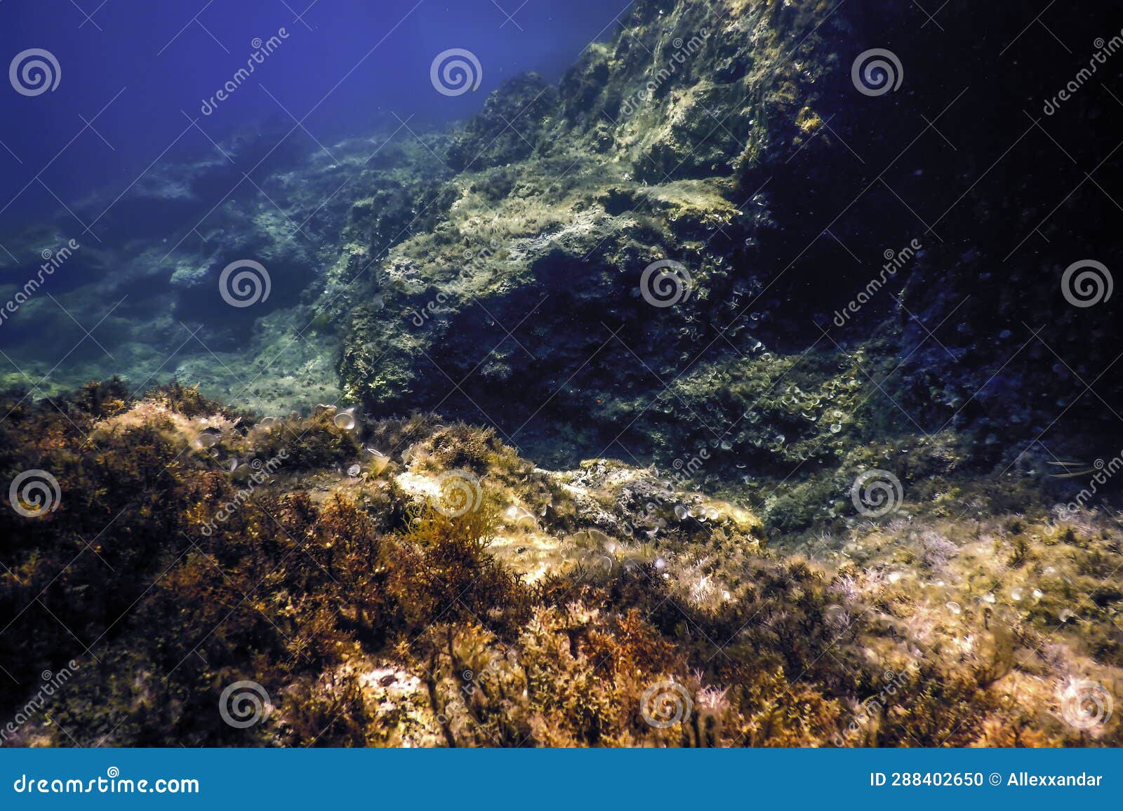 Rocks at Bottom of Ocean Floor Stock Photo - Image of ocean, underwater ...