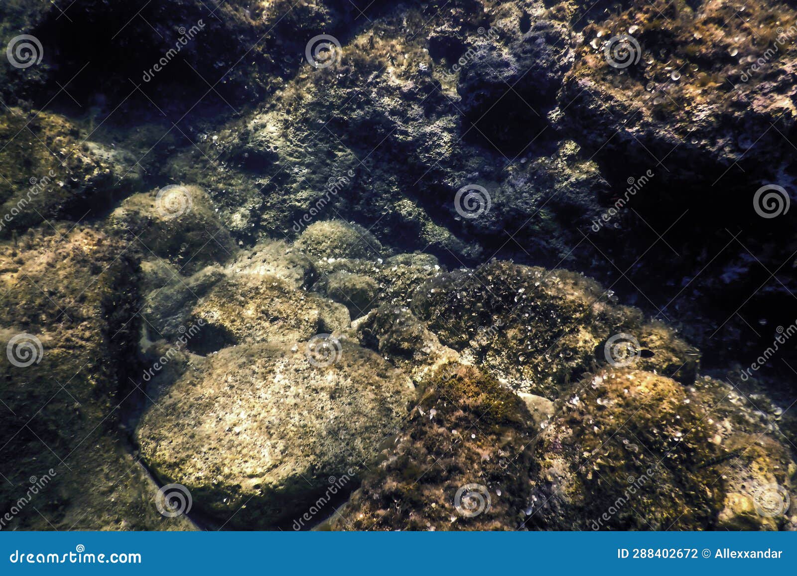 Rocks at Bottom of Ocean Floor Stock Photo - Image of floor, undersea ...