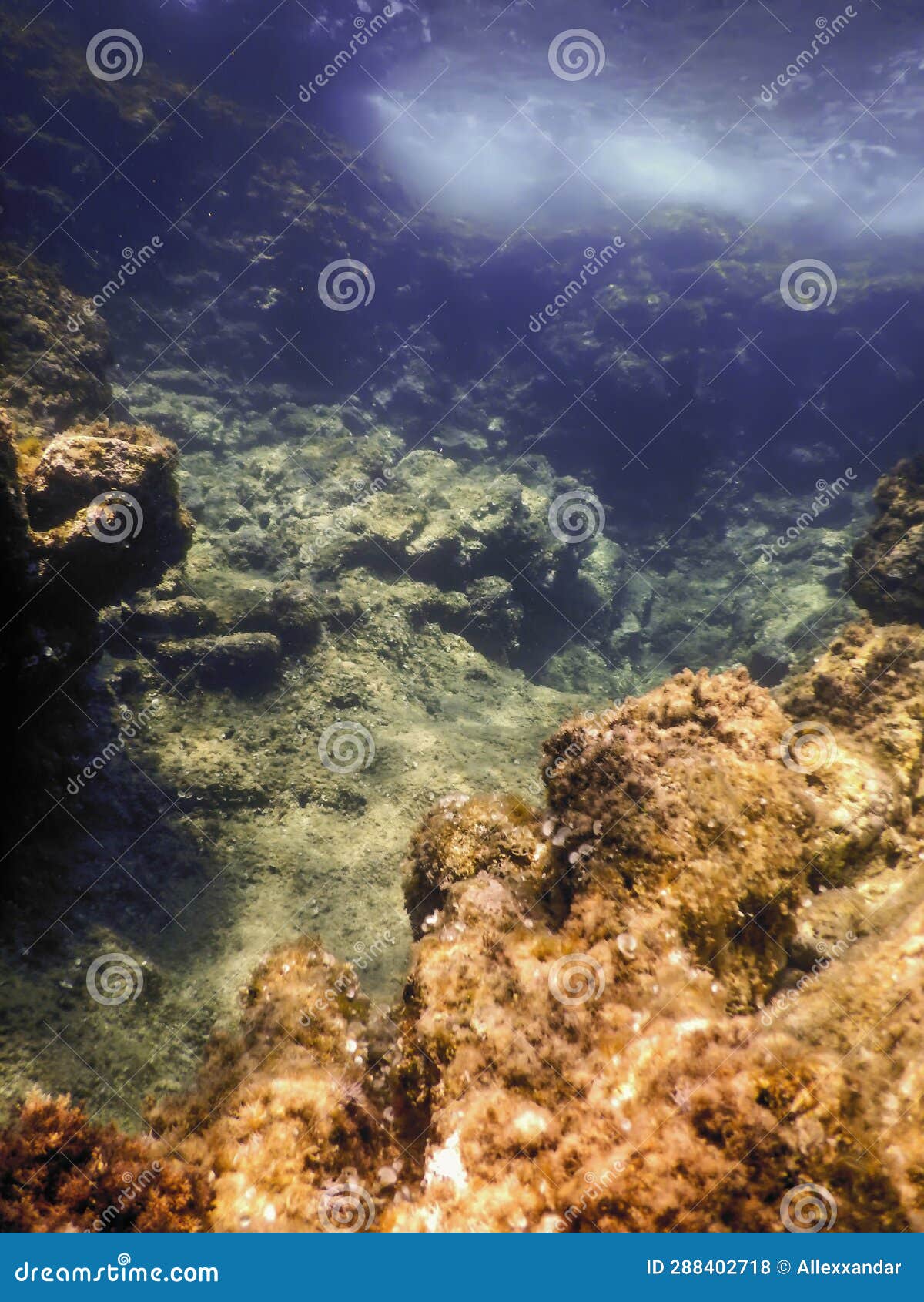 Rocks at Bottom of Ocean Floor Stock Photo - Image of seashore, aquatic ...