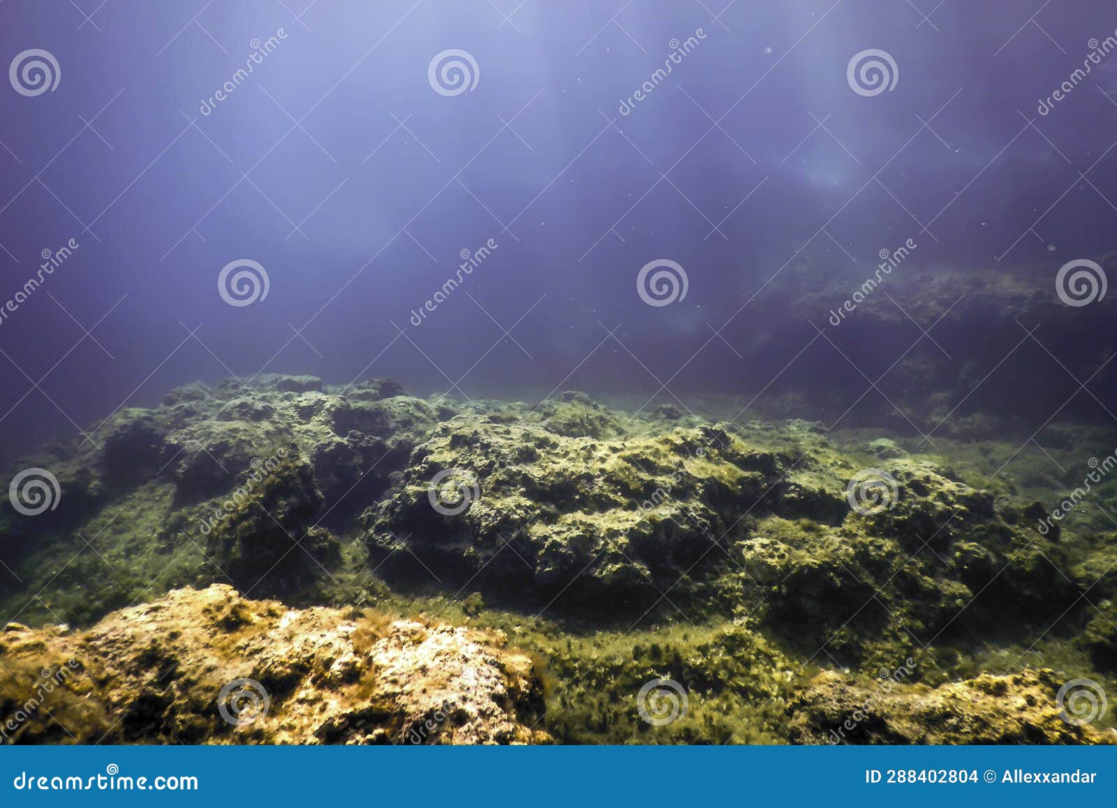 Rocks at Bottom of Ocean Floor Stock Photo - Image of underwater ...