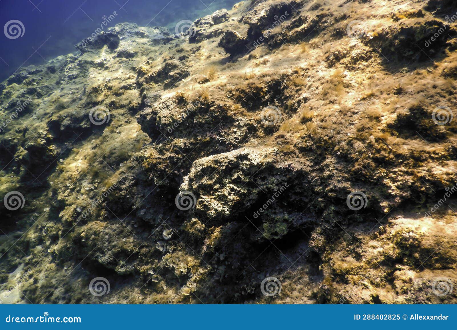 Rocks at Bottom of Ocean Floor Stock Image - Image of underwater ...