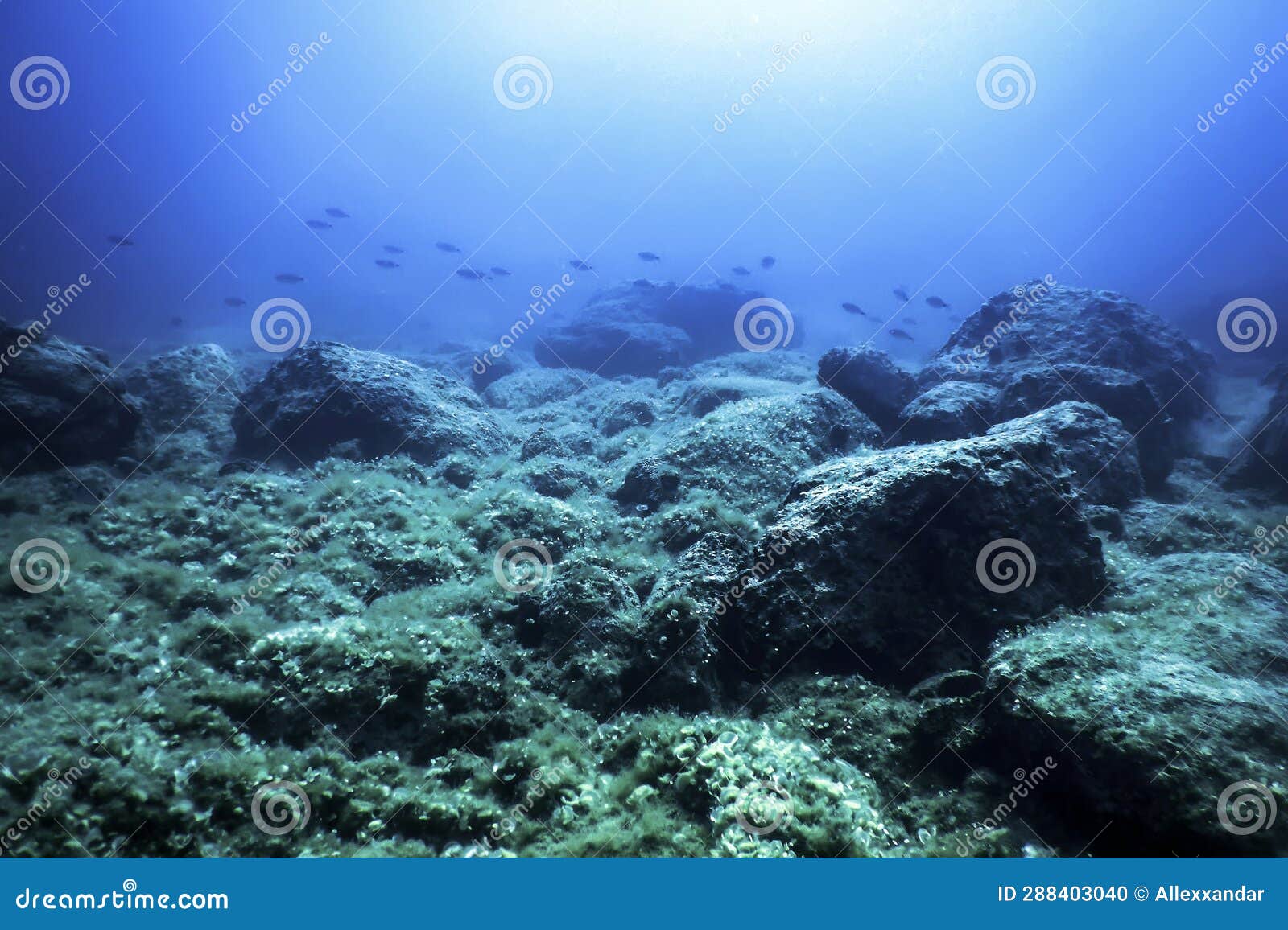 Rocks at Bottom of Ocean Floor Stock Photo - Image of explore, ocean ...