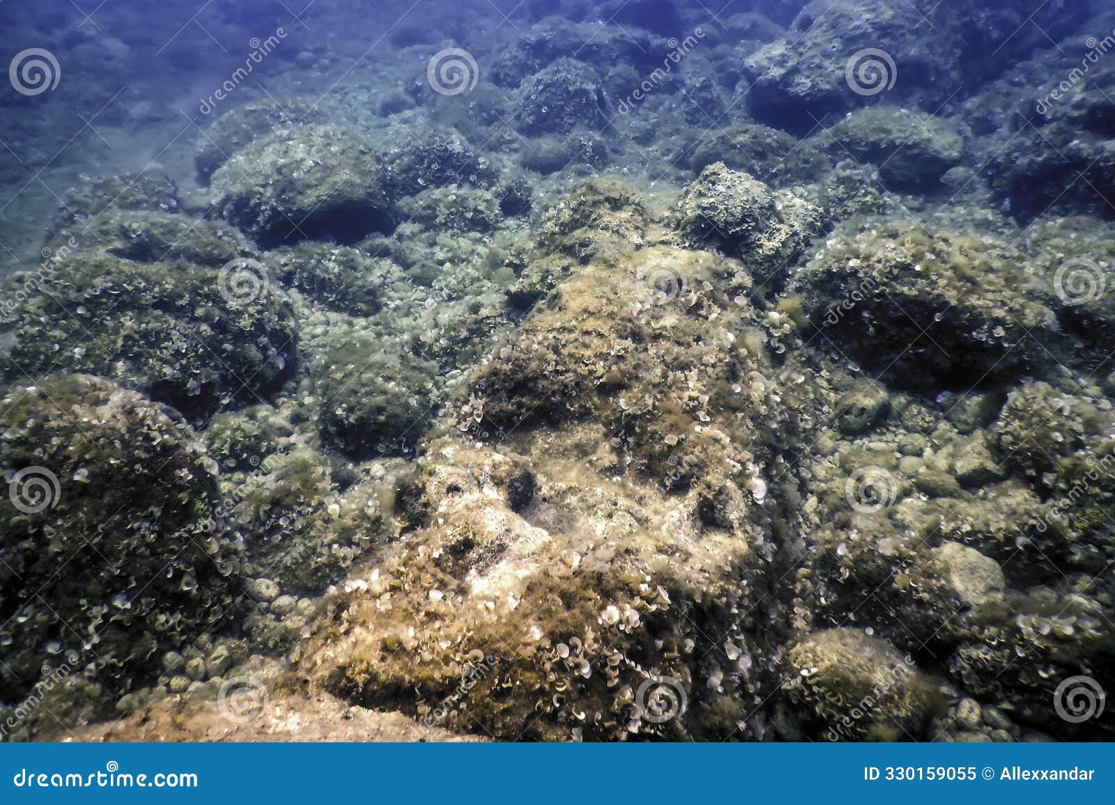 Rocks at Bottom of Ocean Floor Stock Image - Image of ocean, marine ...