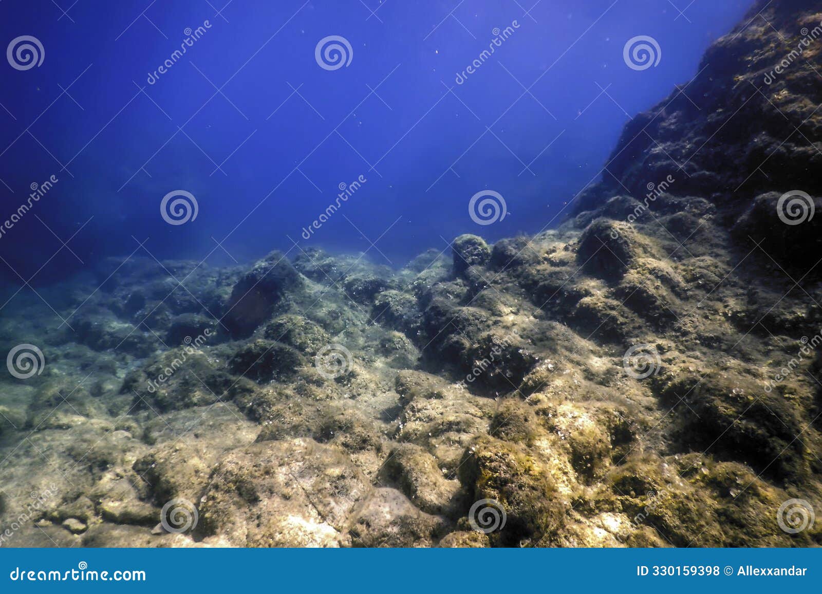 Rocks at Bottom of Ocean Floor Stock Photo - Image of submerged ...