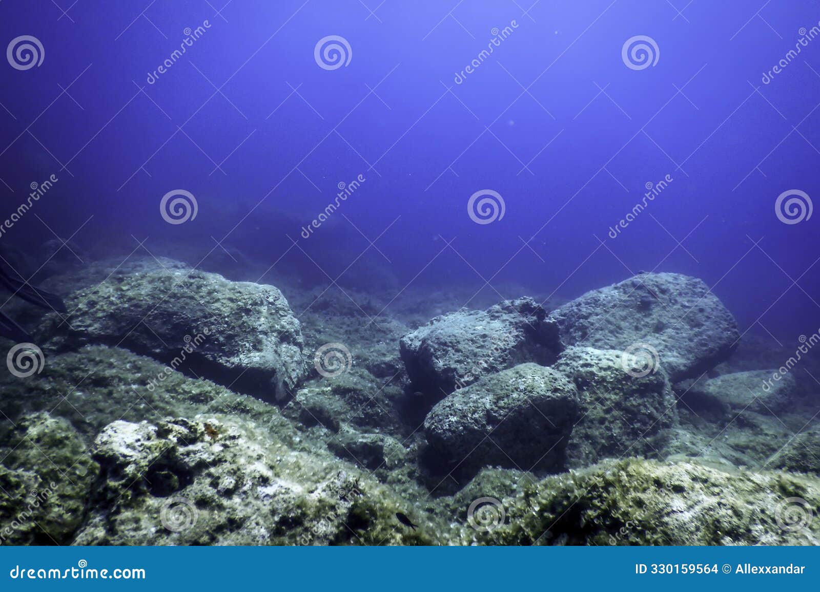 Rocks at Bottom of Ocean Floor Stock Photo - Image of scuba, explore ...