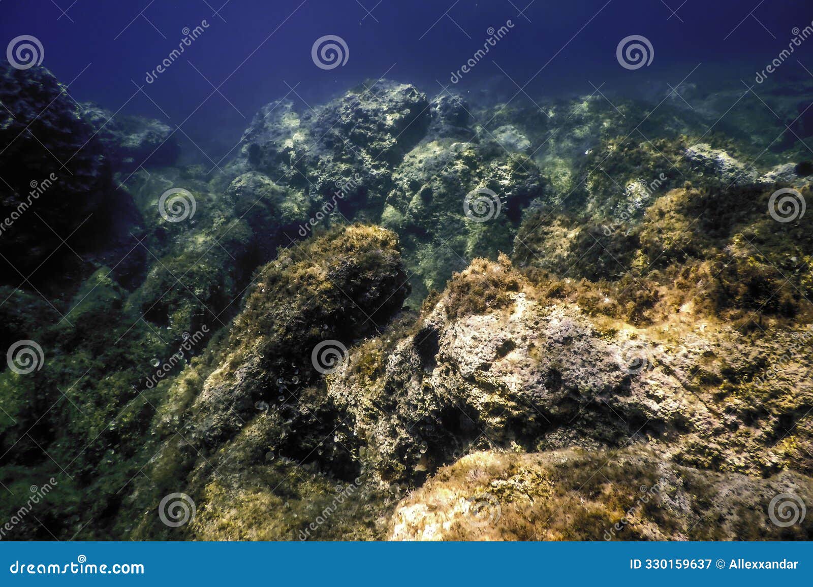 Rocks at Bottom of Ocean Floor Stock Image - Image of dive, undersea ...