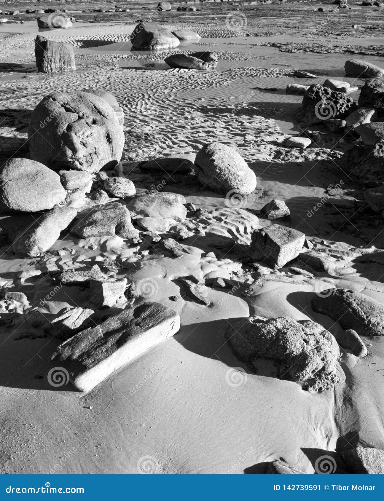 Rocks and Boulders on the Beach Black and White Image Stock Image ...
