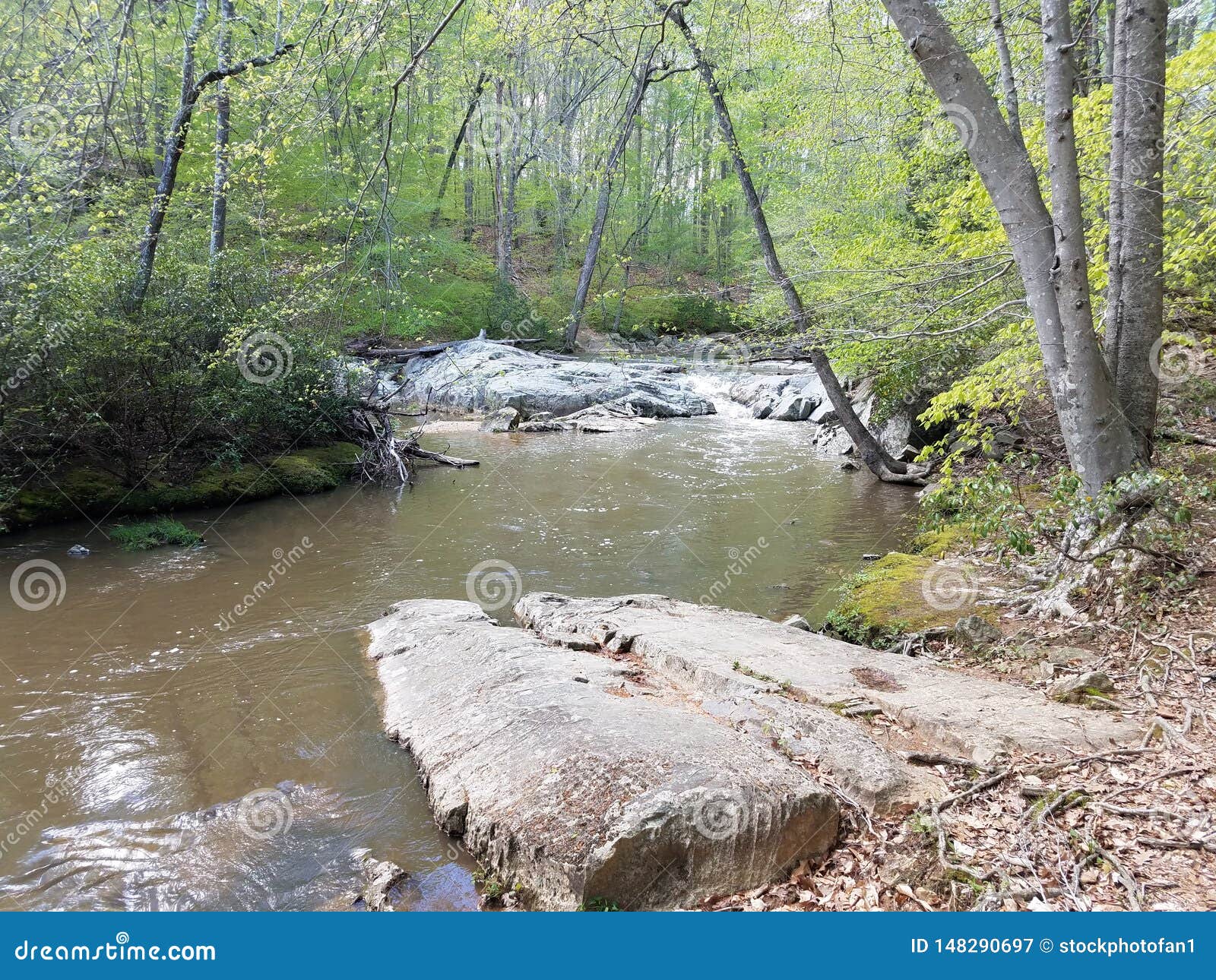 Rocks or Boulders with Water in River in Forest Stock Image - Image of ...
