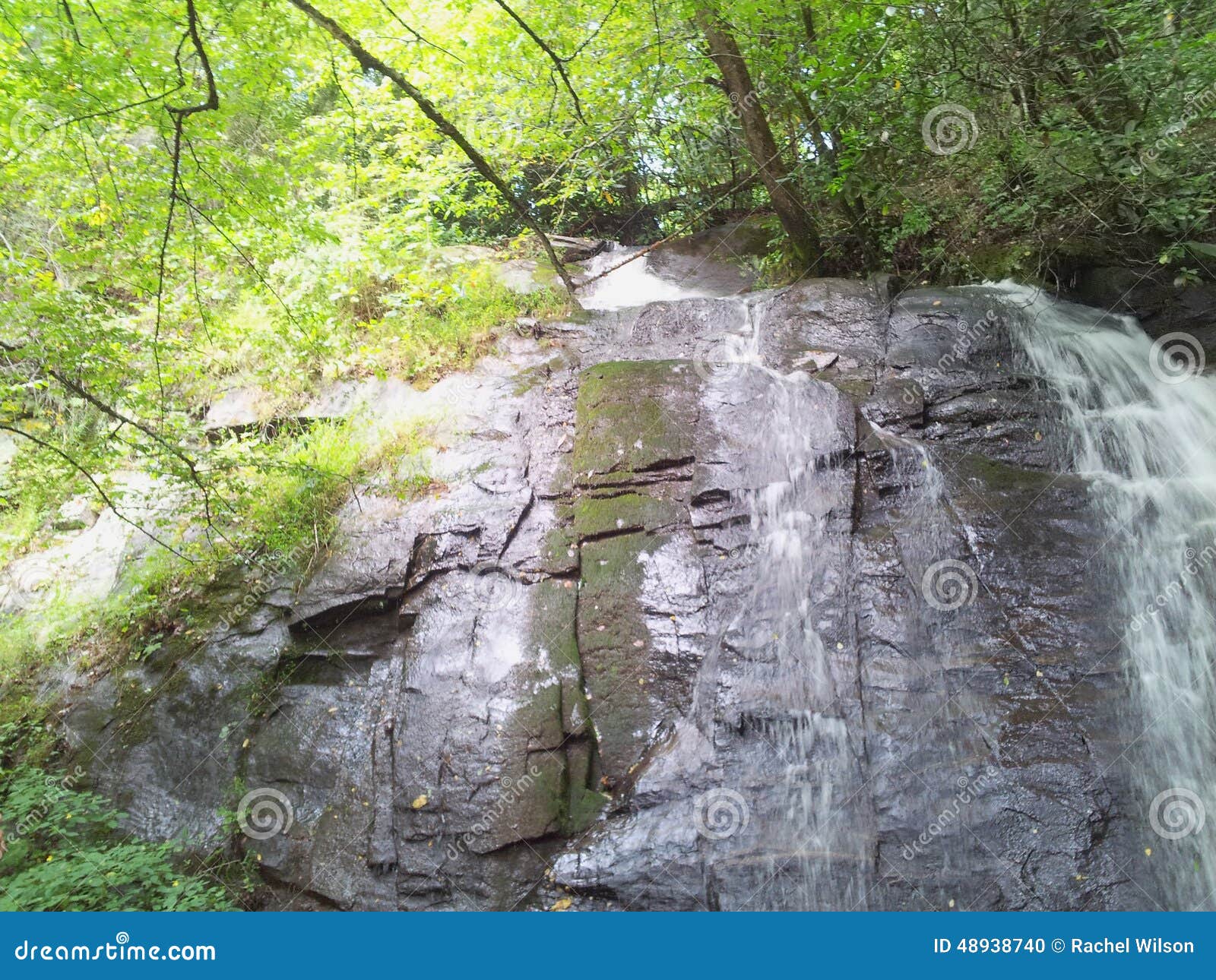 The rocks stock photo. Image of happy, branches, ground - 48938740