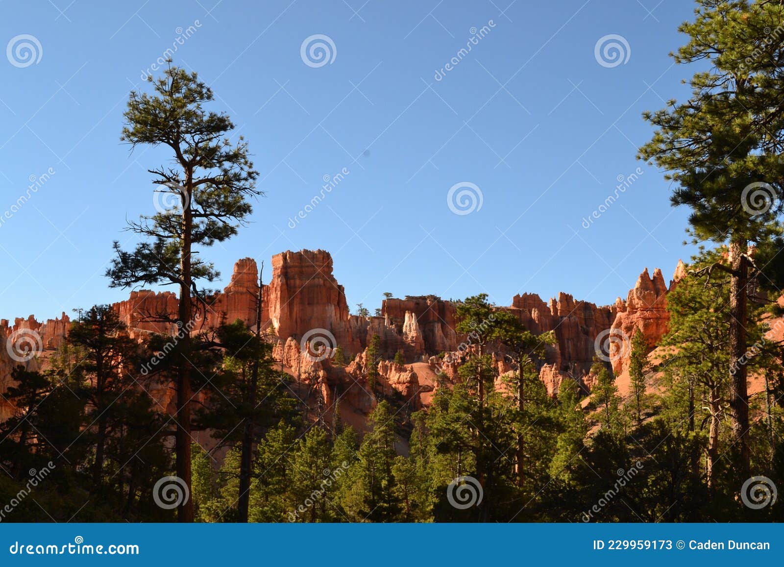 The Rocks of Bryce Canyon Utah Stock Image - Image of landscape ...