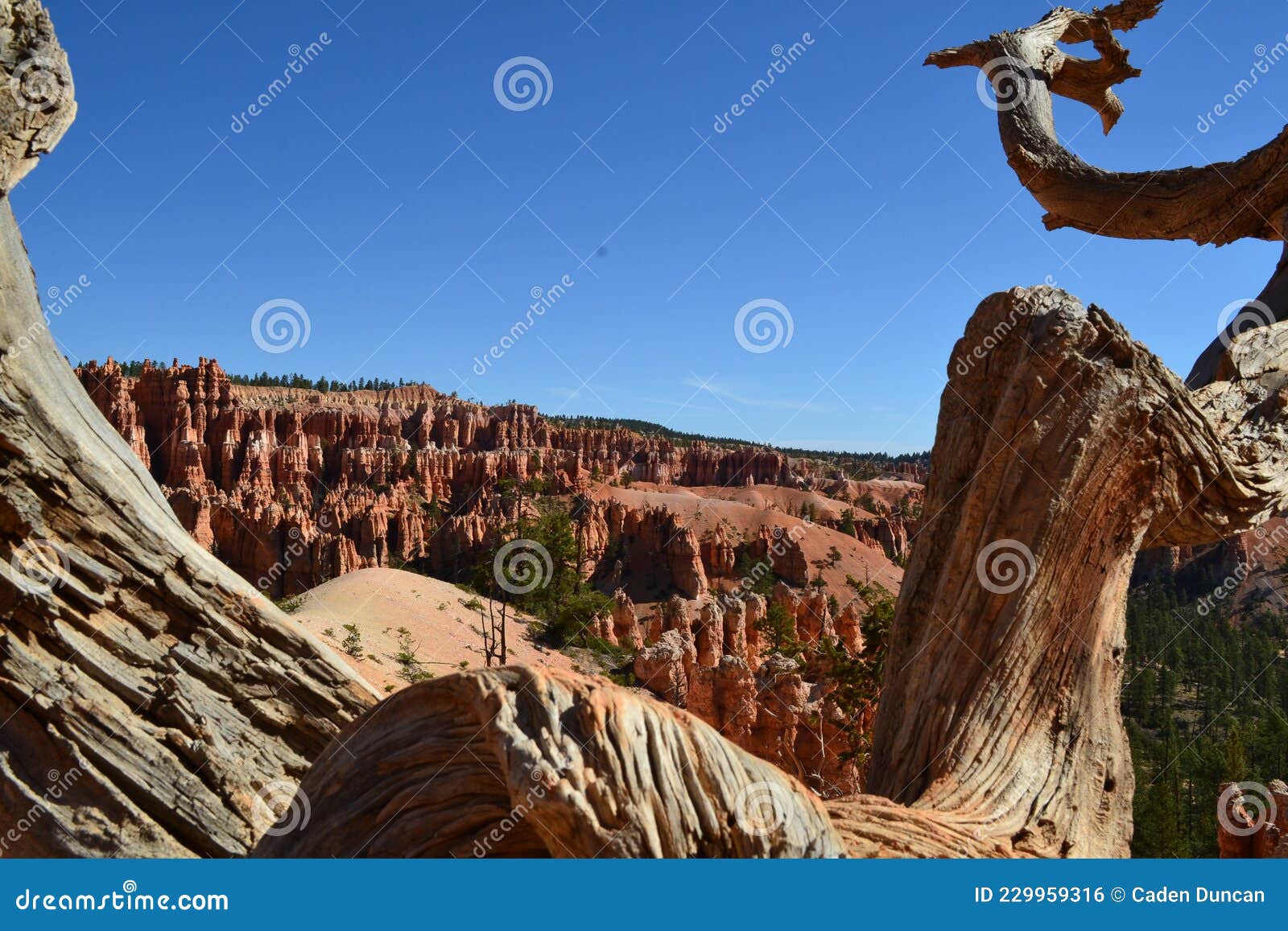 The Rocks of Bryce Canyon Utah Stock Photo - Image of canyon, autumn ...