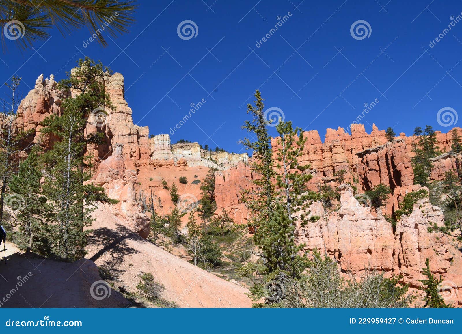 The Rocks of Bryce Canyon Utah Stock Image - Image of desert, cliff ...