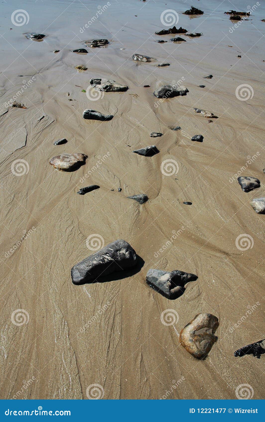 Rocks Buried in Sand stock image. Image of buried, seashore - 12221477