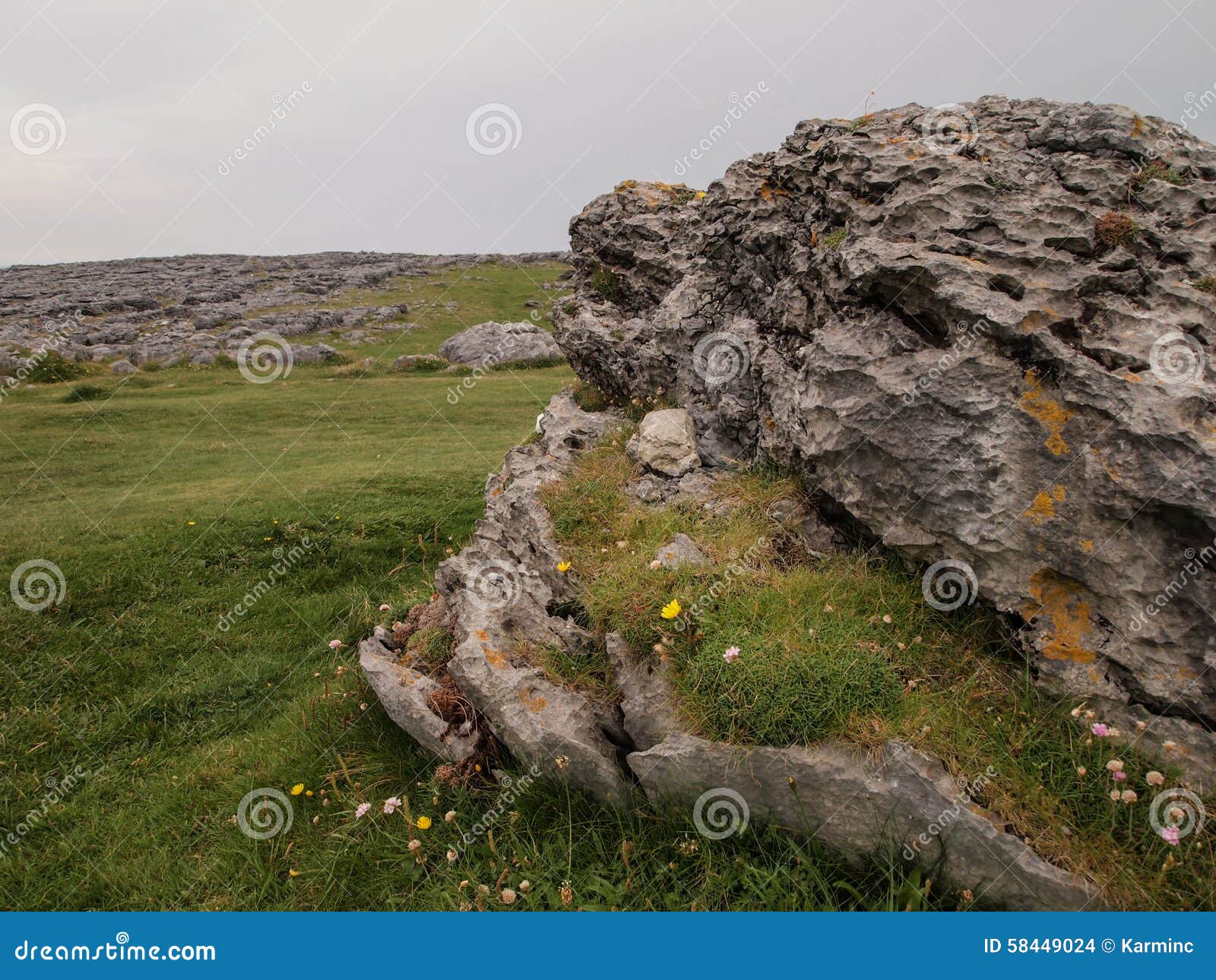 Rocks in the Burren in Ireland Stock Photo - Image of cliff, tundra ...