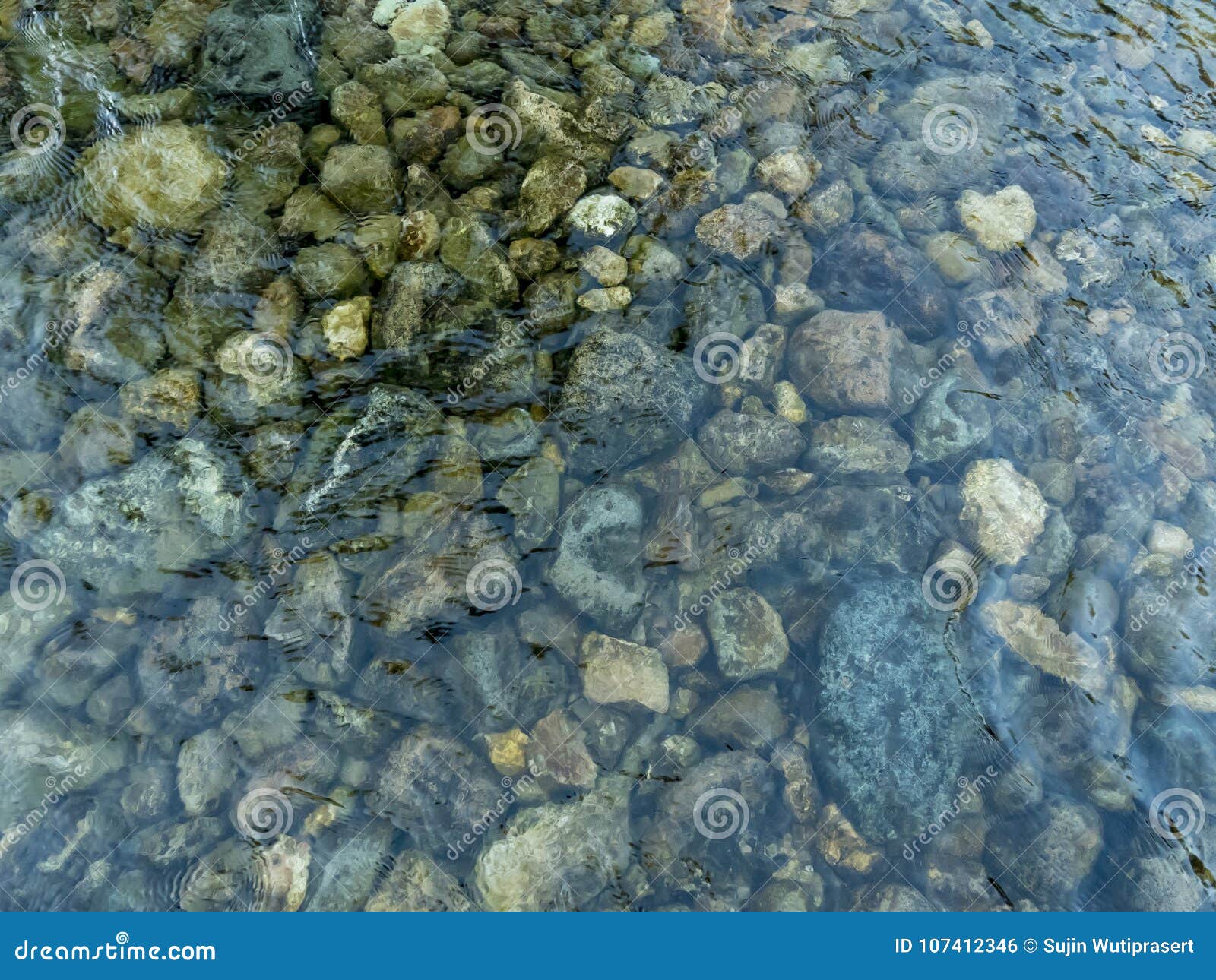 Rocks in Clear Water in River Stock Photo - Image of clear, transparent ...
